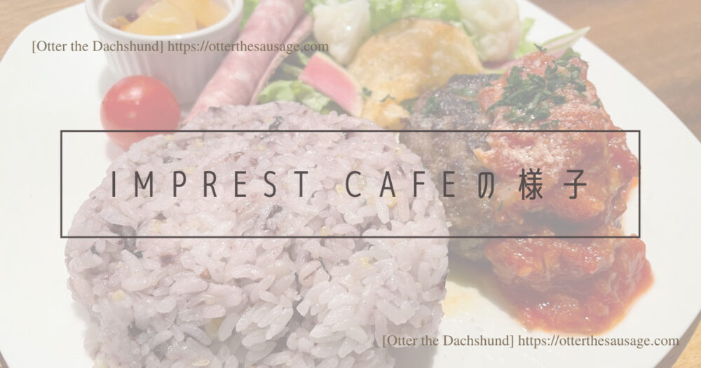 【八丁堀】IMPREST CAFE八丁堀：店内犬連れOKなドッグフレンドリーカフェ - Otter the Dachshund オッターはダックスフンド